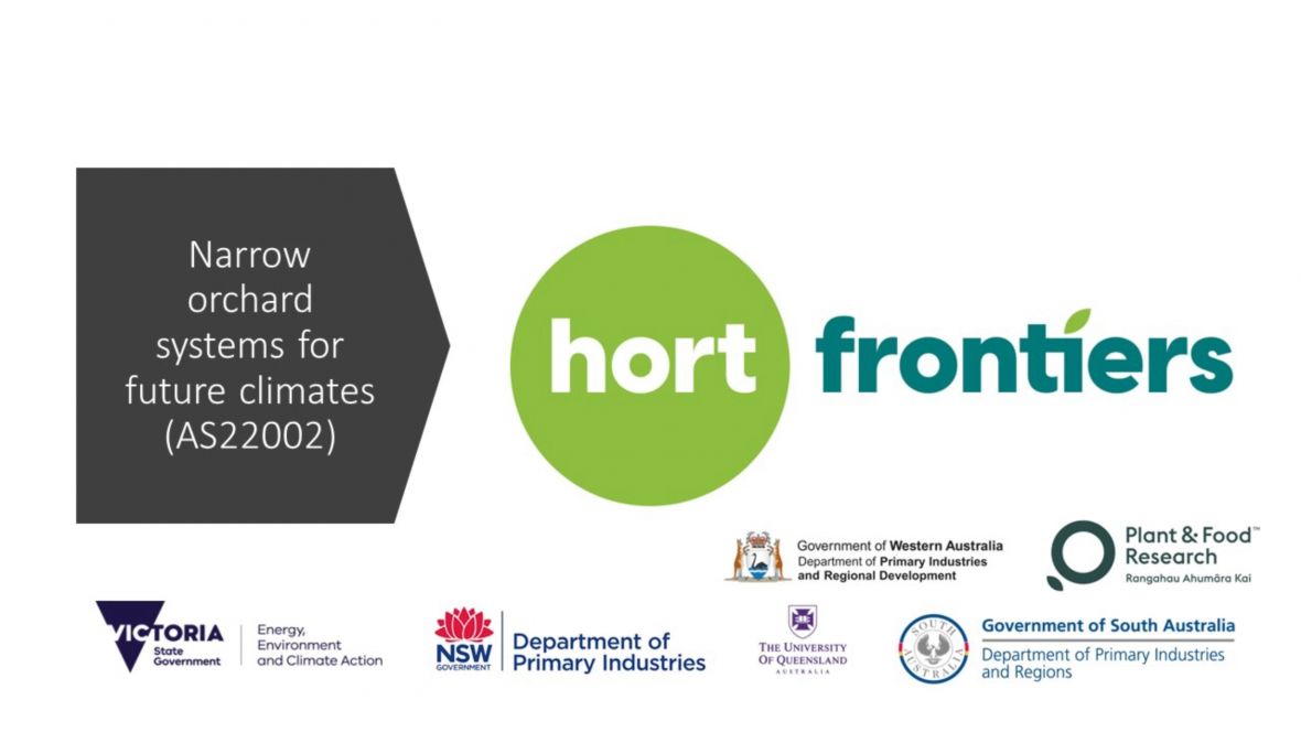 Narrow orchard systems for future climates - HIN